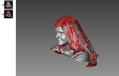 Tips for 3D Face Scanning with Hair | LMI Technologies