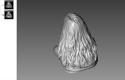 Tips for 3D Face Scanning with Hair | LMI Technologies